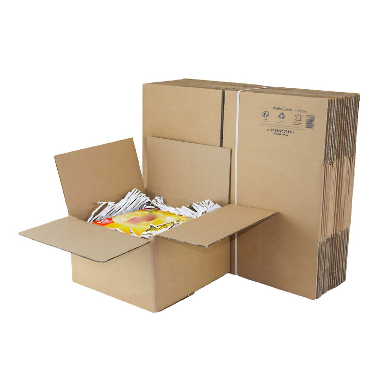 Carton standard simple cannelure 25x25x15 cm